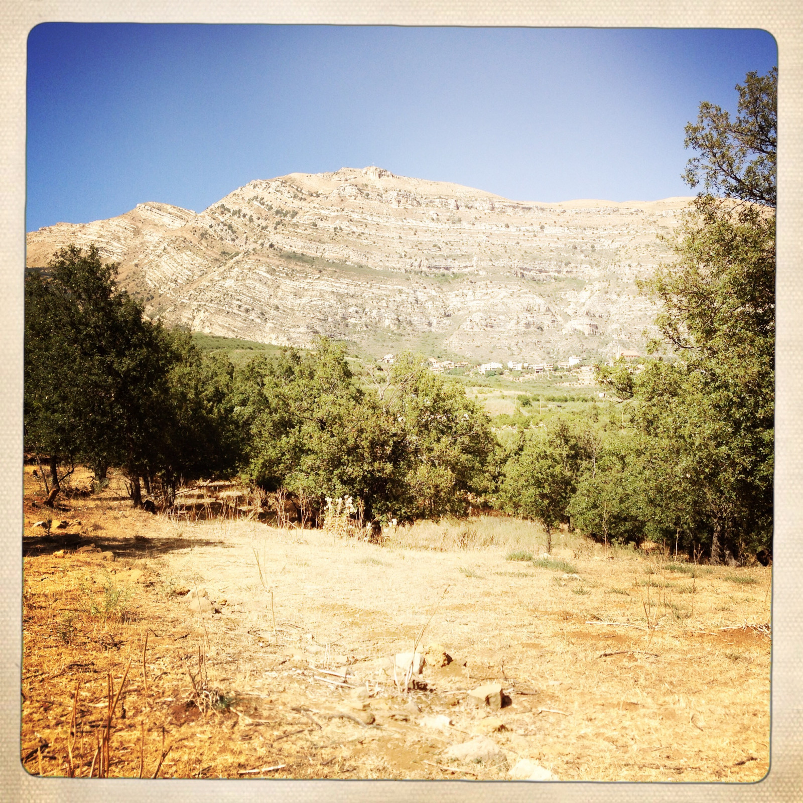 The orchards of Akoura - MOOVTOO Guide